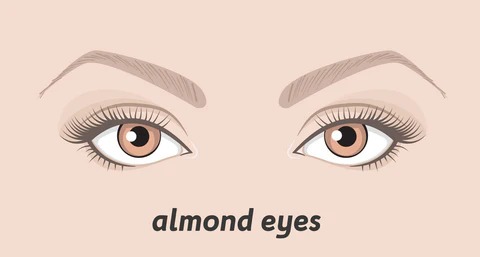 What is Almond Eye and Almond Eye Aesthetics (Cantoplasty)? - Plastic ...