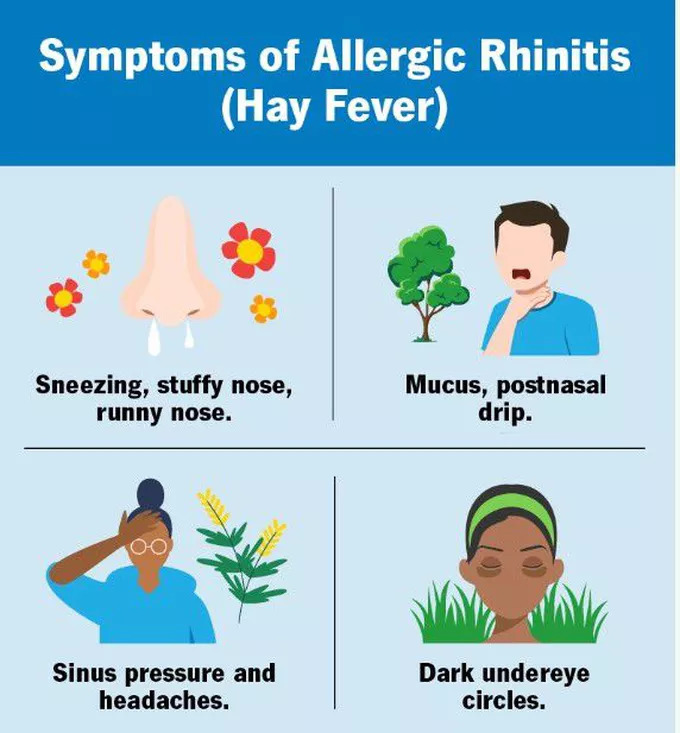 What is Allergic Rhinitis (Hay Fever)? - Plastic surgery in Istanbul